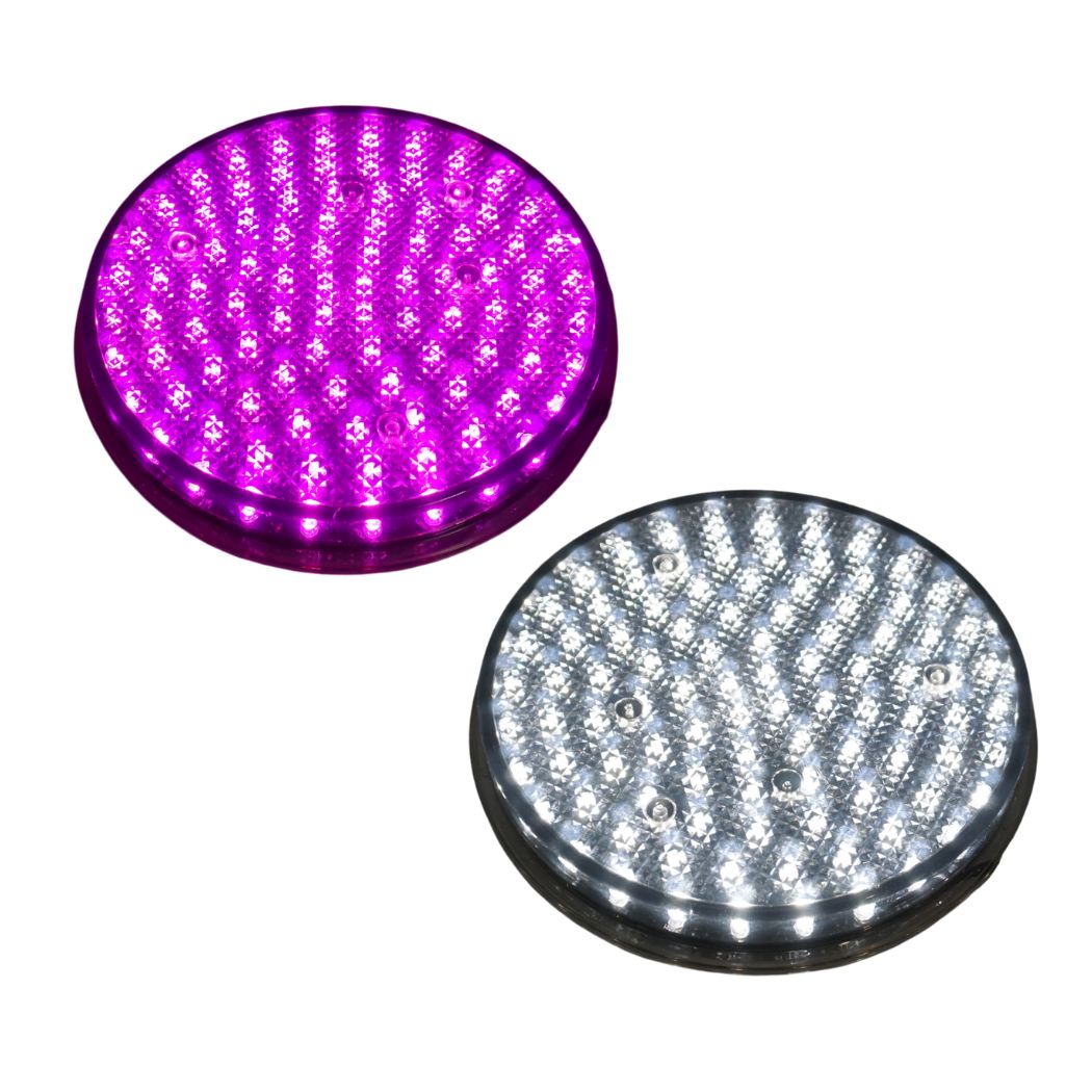 Feu signalisation Violet Feu signalisation led Violet